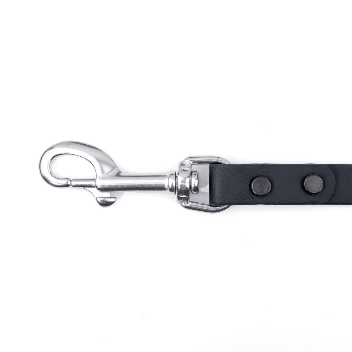 Biothane Leash – Alpinhound Pet Co.